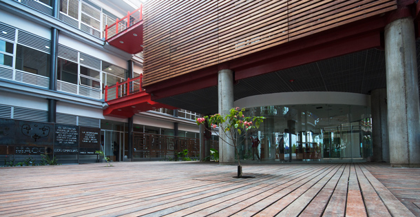 MACCO, un tesoro en la Amazonia - Plan V