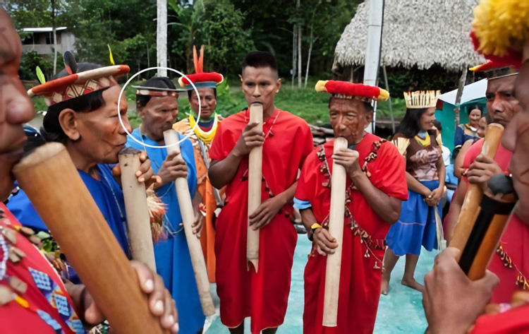 Esta es la historia de los abuelos secoyas que fallecieron ...
