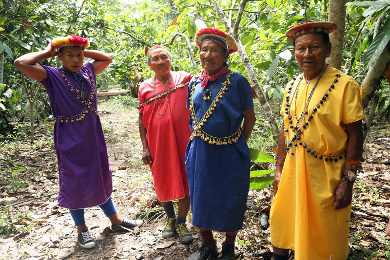 Esta es la historia de los abuelos secoyas que fallecieron ...