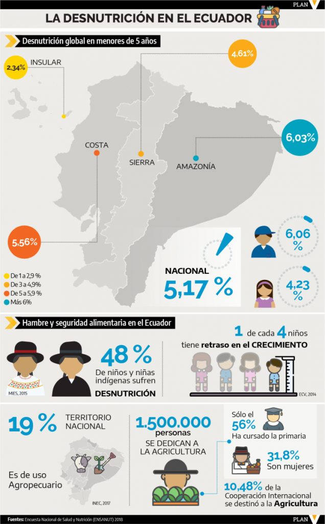 Ecuador: el alto costo del hambre y la desnutrición crónica - Plan V
