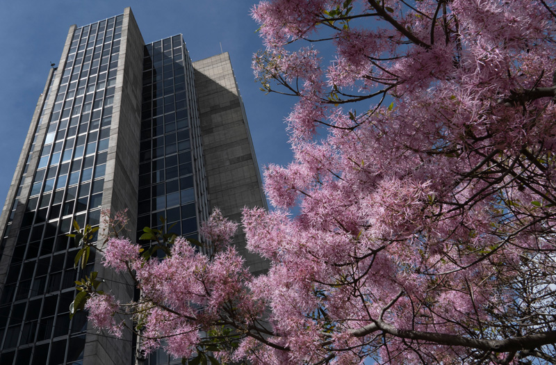 Una nueva generación de edificios altos cambia el paisaje de Quito - Plan V