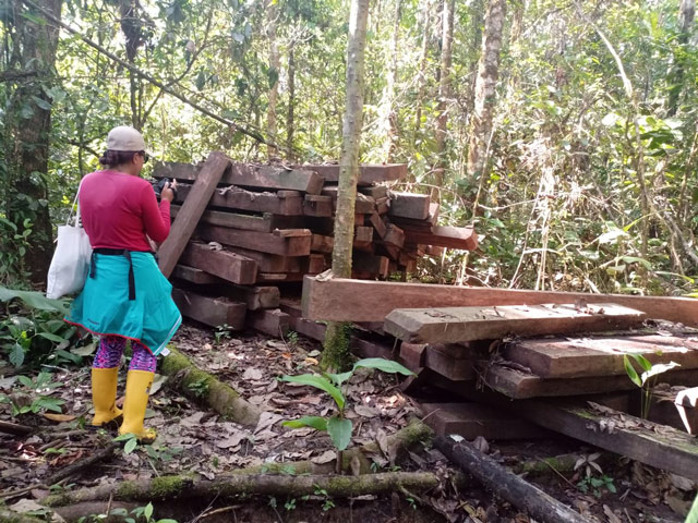 Deforestación, caza y dragas llegaron a la Selva Viva - Plan V