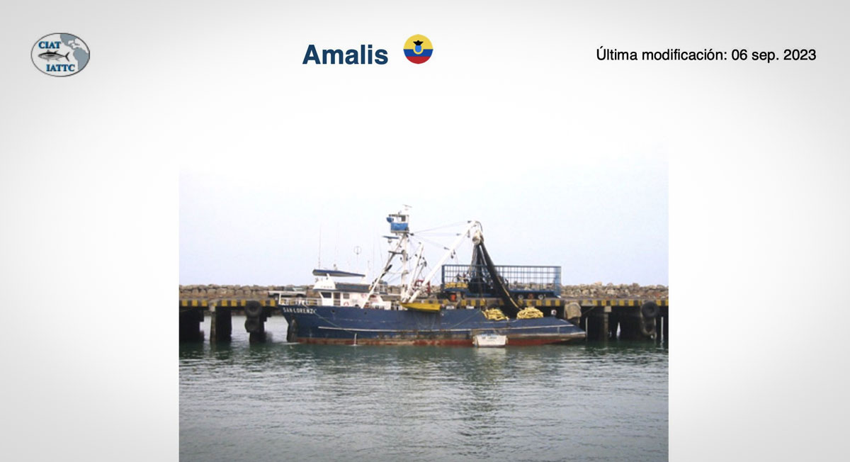 Juicio a Palencia revela los turbios manejos ...de la pesca - Plan V